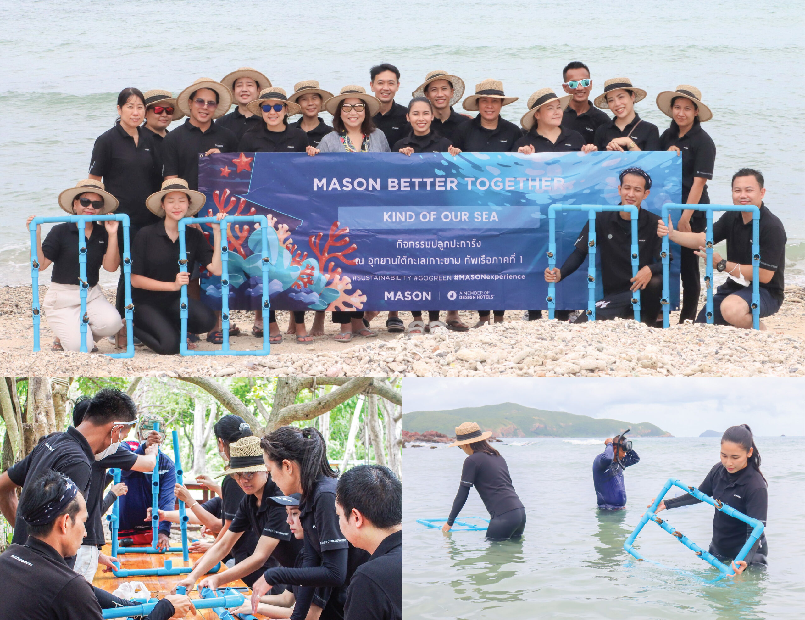 MASON (เมสัน) เชิญชวนพนักงานร่วมกิจกรรมปลูกปะการัง ณ อุทยานใต้ทะเลเกาะ ...